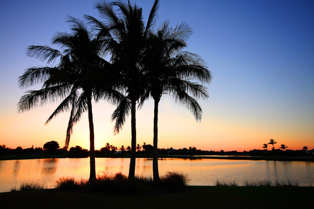 Veckopaket - Sanibel Island - Swanson's